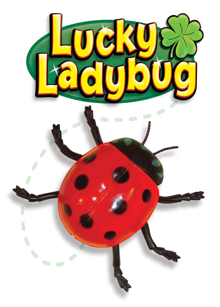 Webber Photo Phonology Minimal Pair Cards - Stopping - cards - by Super ...