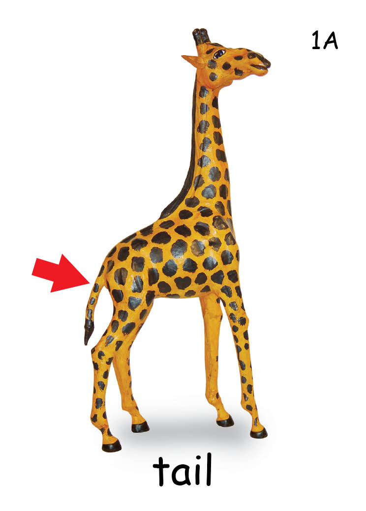 Webber Photo Phonology Minimal Pair Cards - Stopping - cards - by Super ...