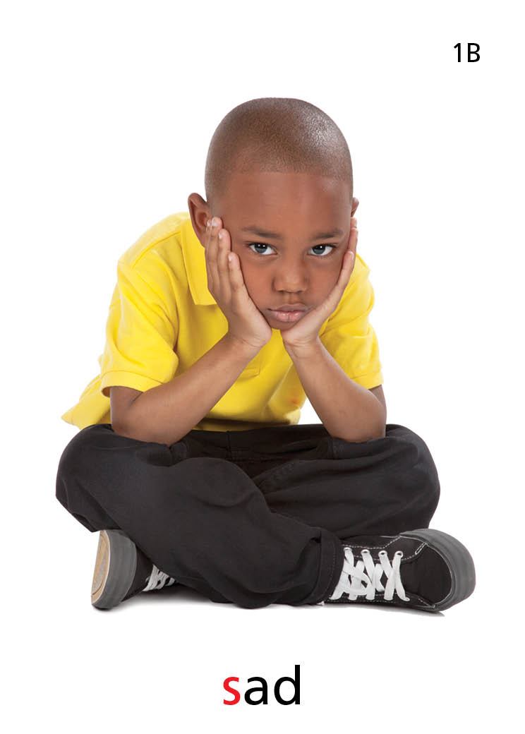 Artic Photos S Fun Deck® - cards - by Super Duper Publications - TrE