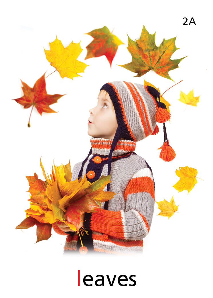 Artic Photos L Fun Deck® - cards - by Super Duper Publications - TrE