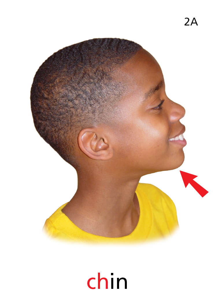 Artic Photos CH Fun Deck® - cards - by Super Duper Publications - TrE