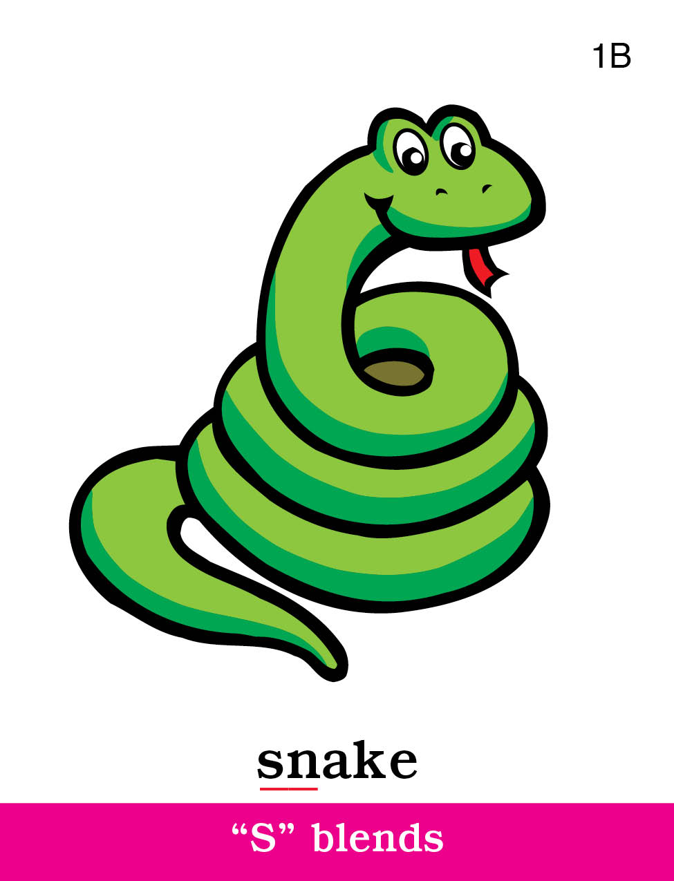 Webber Articulation Cards - S Blends - cards - by Super Duper ...