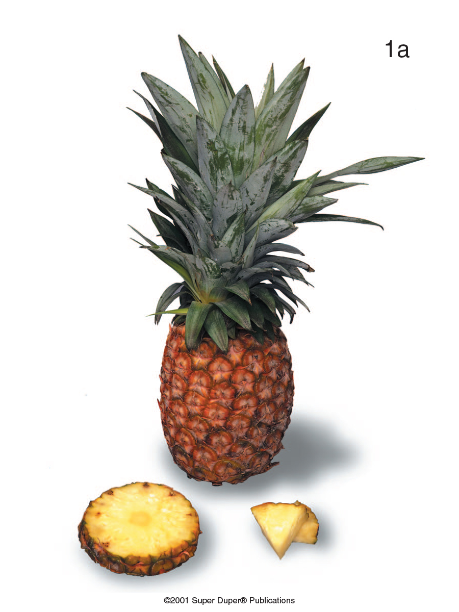 Webber Photo Cards - Food - cards - by Super Duper Publications - TrE